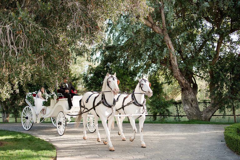 Marisa & Austin | Grand Tradition Estate Wedding - paigehillphotography.com